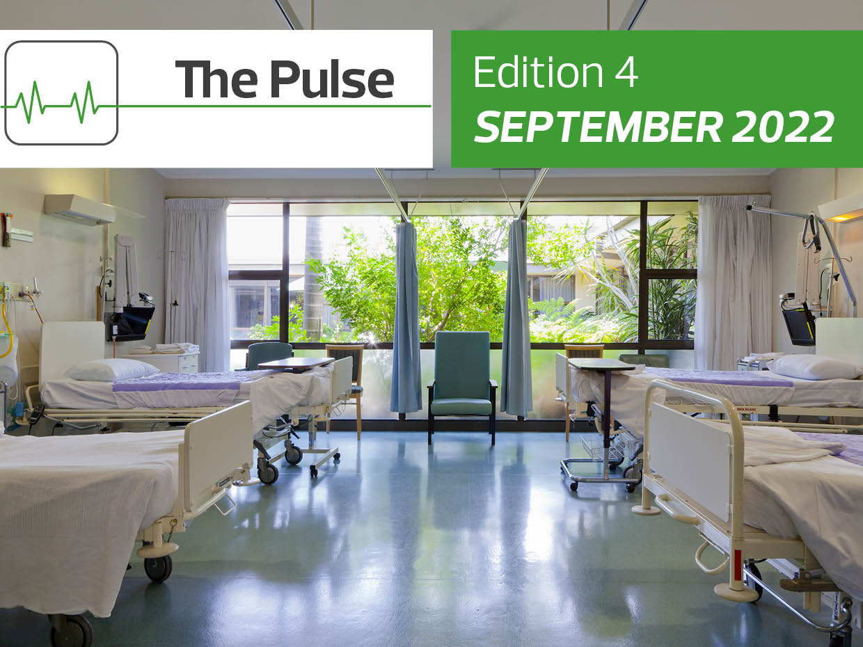 The Pulse | Edition 4 | RSM Australia